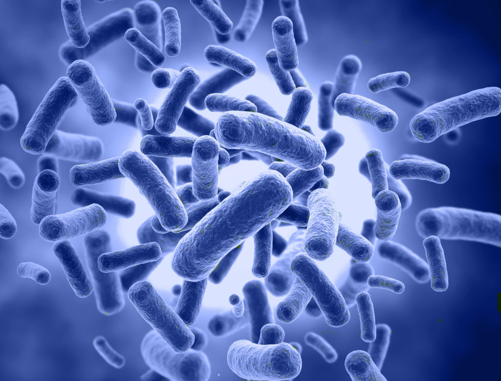 Microbiome Analysis – Learn about All The Applications
