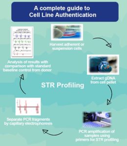 Find out why you need to authenticate your cell line!