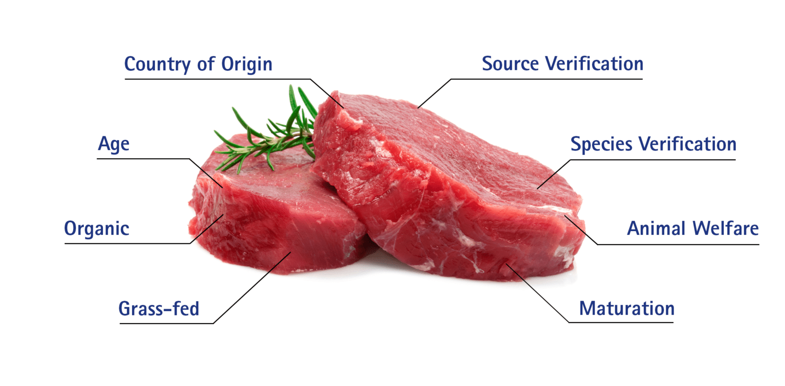 Determine the Source of Meat with Genomics | The DNA Universe ...