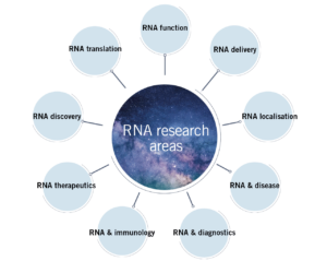 What is the future of mRNA application? Read more