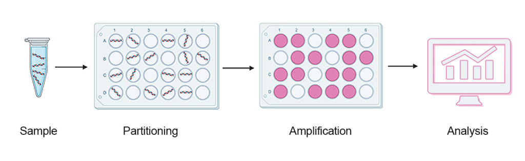 The Digital Age of Cancer Diagnostics - The DNA Universe BLOG
