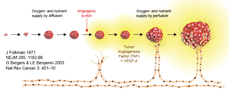 Cancer Ecology to improve life expectancy and quality