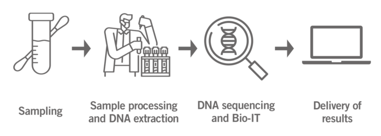 Home genomics testing for drug, nutrient and vitamin metabolisms