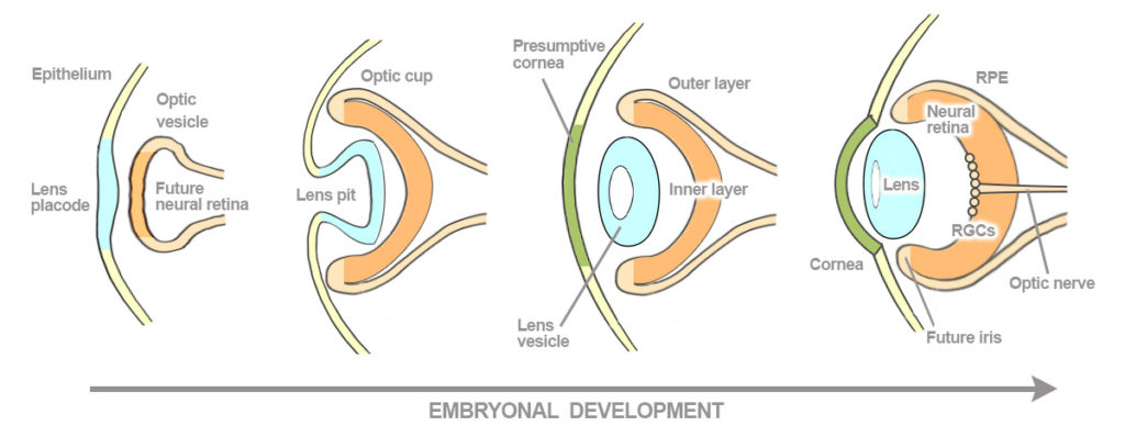 Rewind 2021– Biotech advancements at the new decade