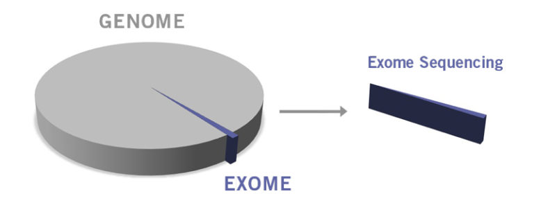 Improved and faster Exome sequencing solutions