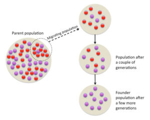 Population genetics and how to use the wisdom of the crowd