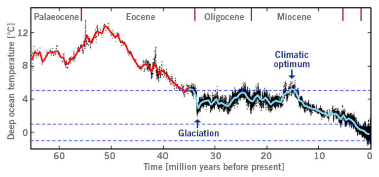 In Defence Of Sugar – How Sugar Drove Human Evolution