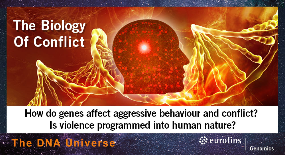 The biology of conflict