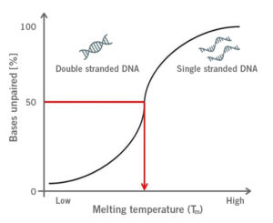 Primer design guide - 5 tips for best PCR results