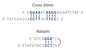 Primer design guide - 5 tips for best PCR results