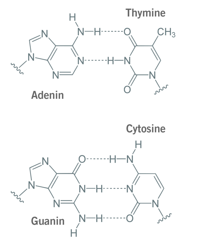 Primer design guide - 5 tips for best PCR results