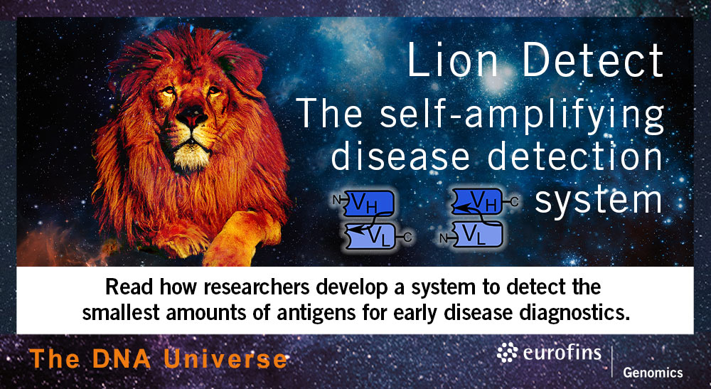 Lion Detect – The self-amplifying ScFv disease detection system