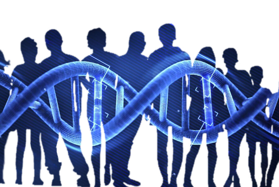 Who really won the race to solve the DNA structure?
