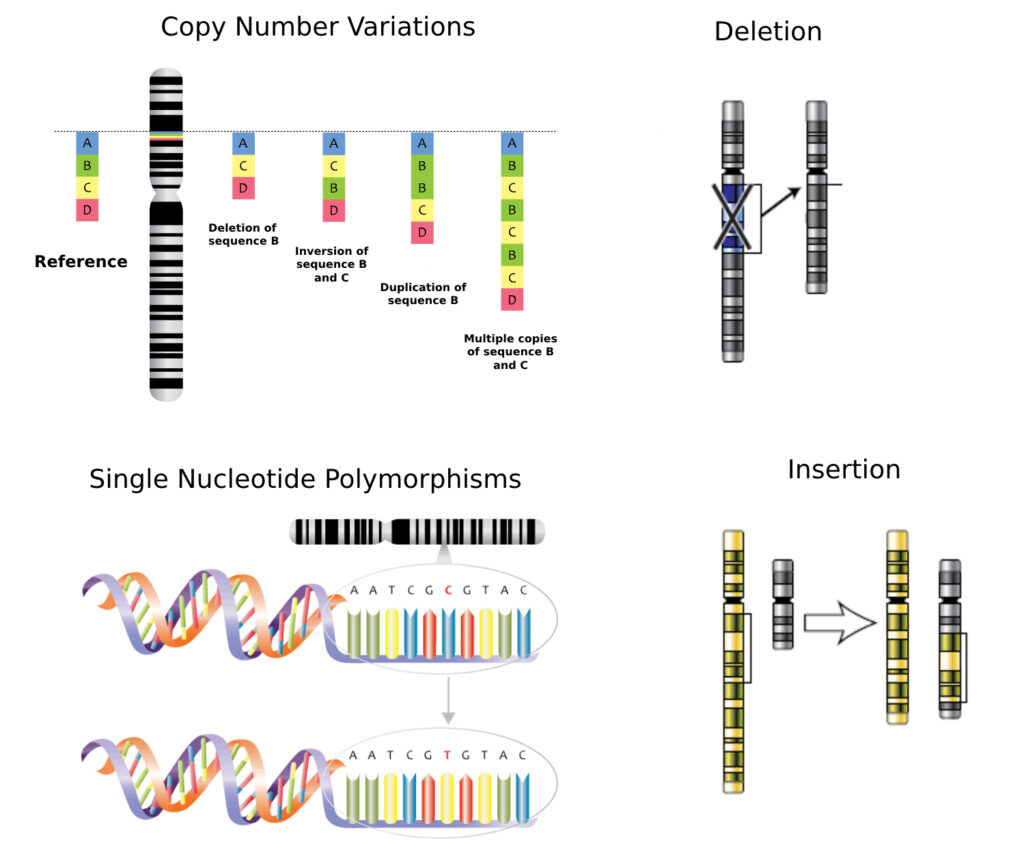 Amplicon Sequencing With Oxford Nanopore Technology