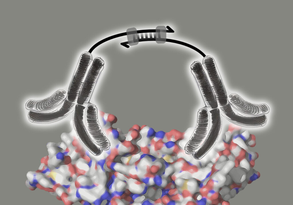 Olink – The Next-Generation Of Protein Biomarker Identification