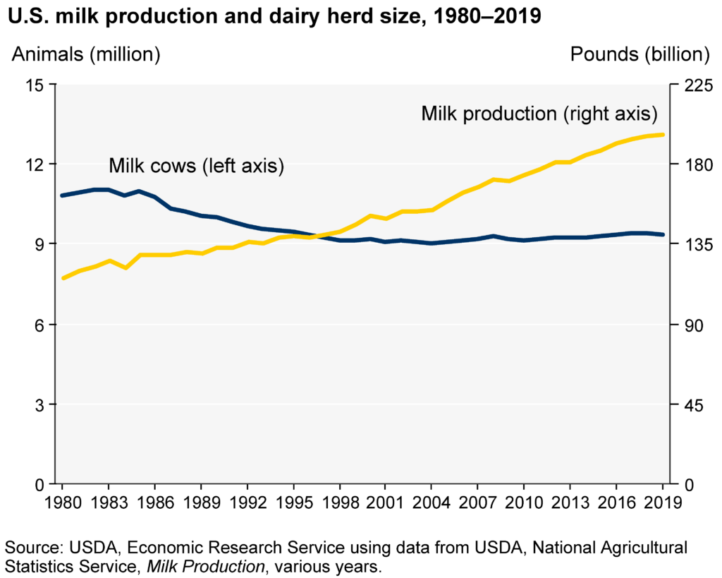 Advancing dairy cattle breeding with genomic selection